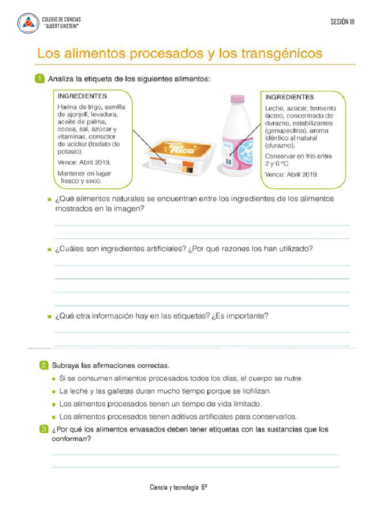 Actividad Alimentos Transgénicos y Procesados 6to | PDF