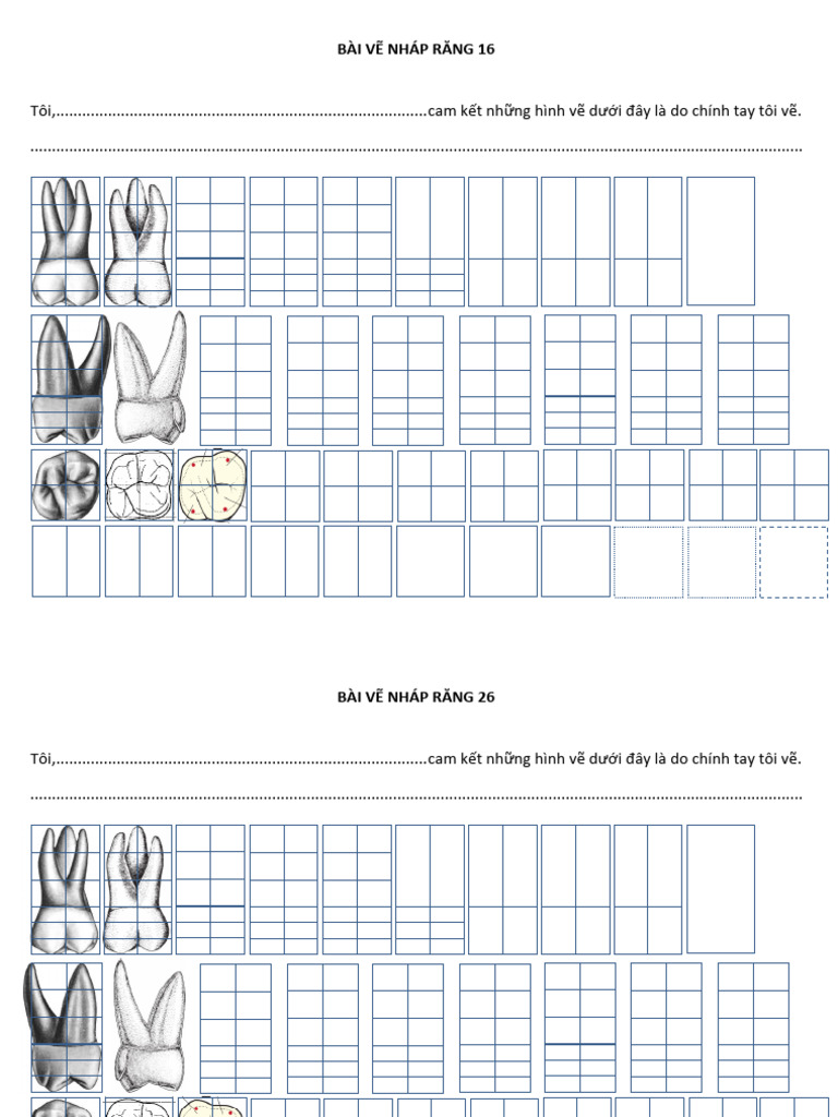 Ve Nhap R16-26 | PDF