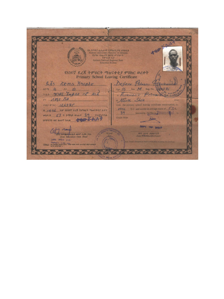 dejenu adimasu | PDF