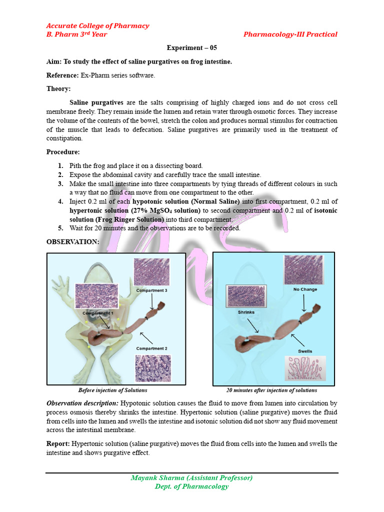 Saline Purgative Effects on Frog Intestine | PDF