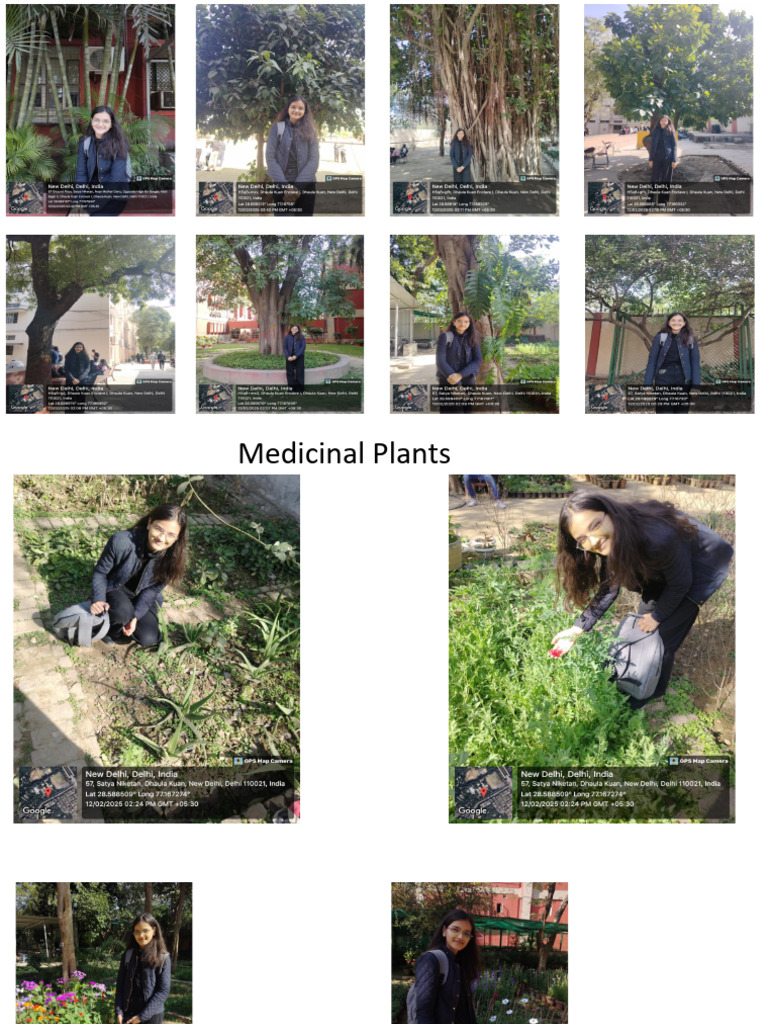 EVS Practical 1 | PDF