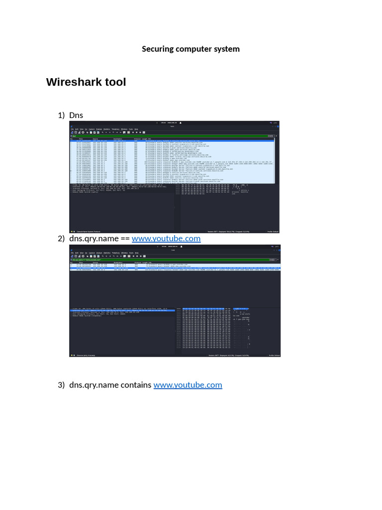 Securing Computer System | PDF