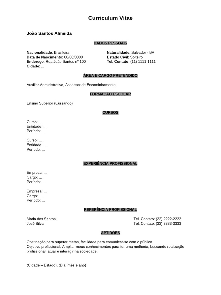 Modelo de Curriculum Vitae Editable | PDF