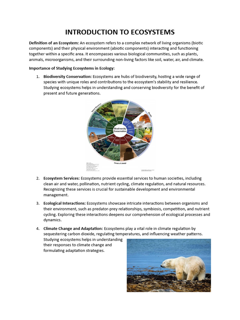 Introduction To Ecosystems | PDF | Ecosystem | Ecology