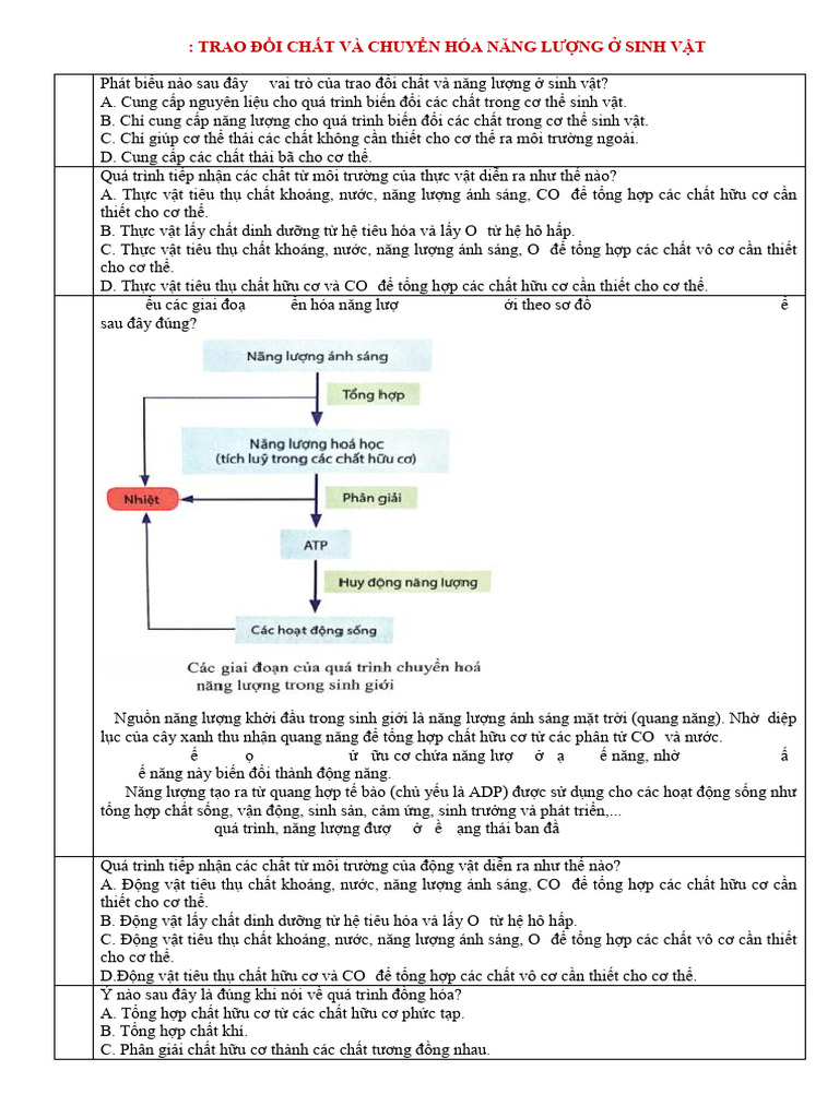 KTTX1-HK1-SINH-HOC-11 | PDF