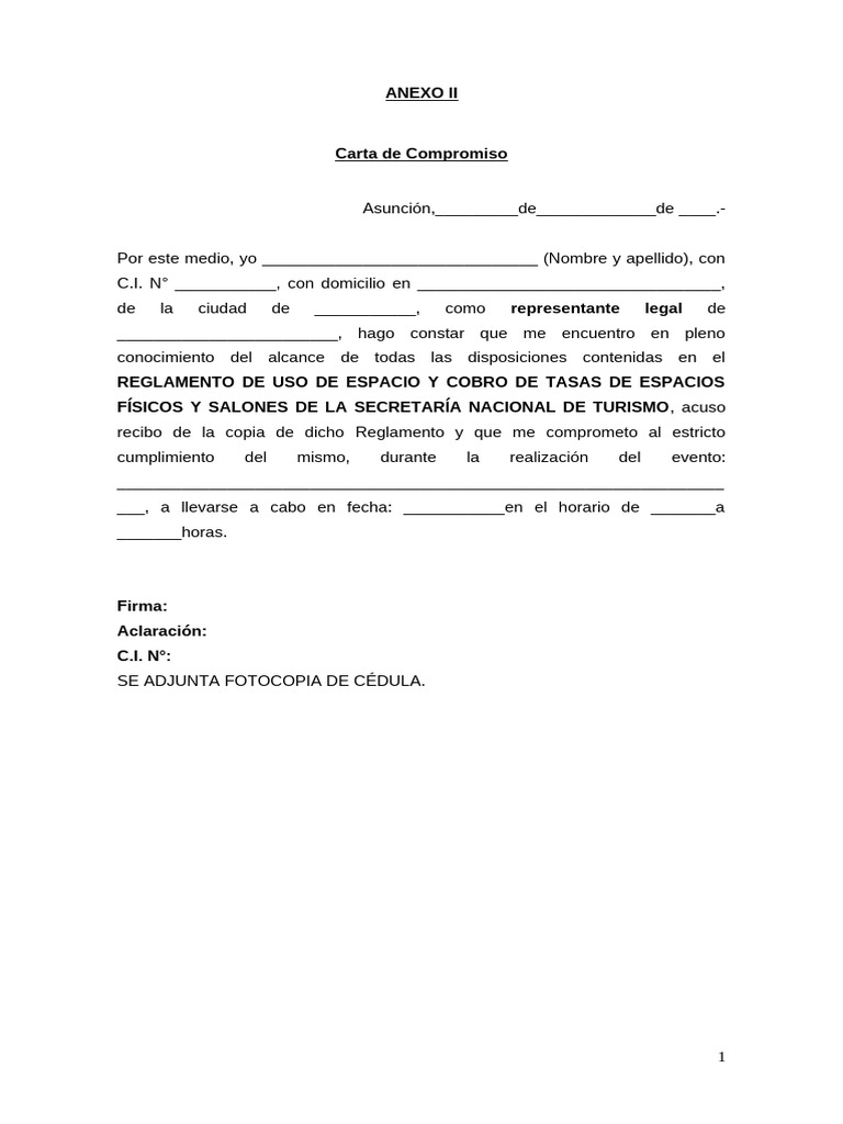 Carta de Compromiso Turista Roga 2024 | PDF