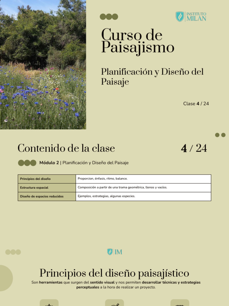 Instituto Milán - Clase 4 | PDF | Percepción | Geometría