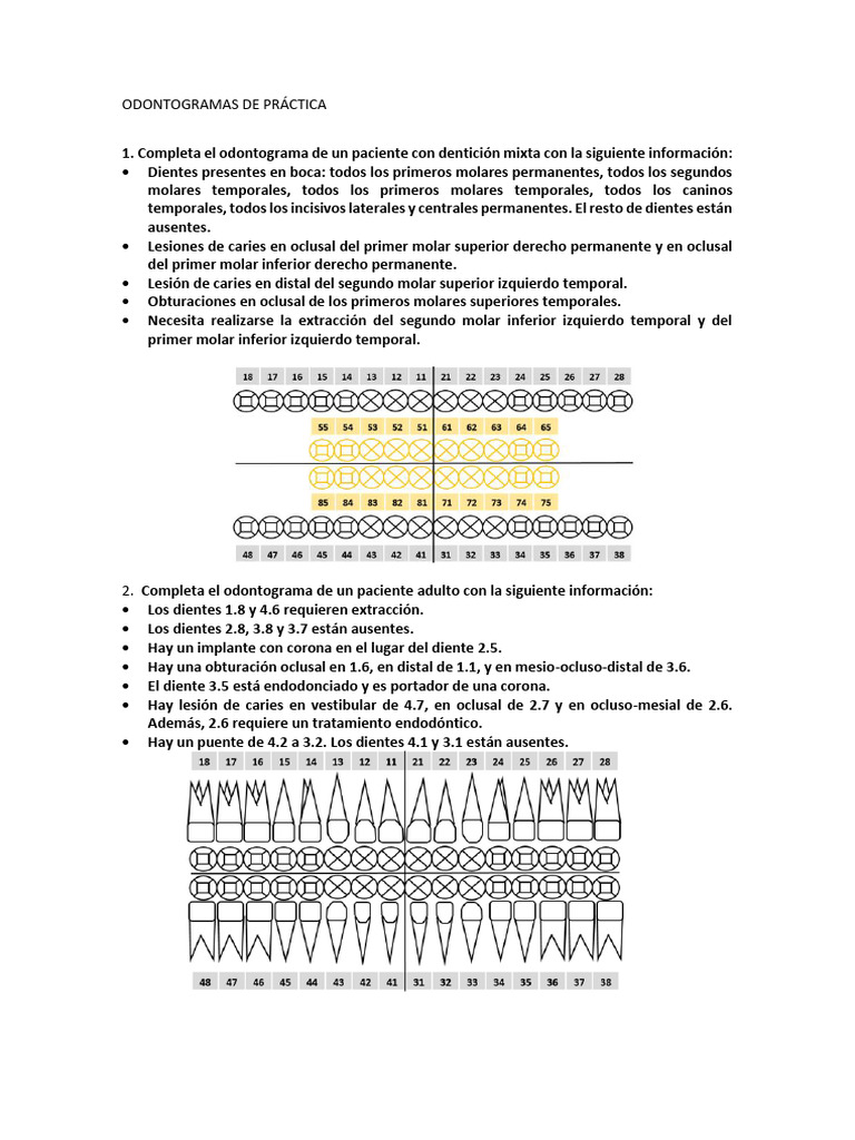 Odontogramas de Práctica | PDF | Diente | Boca