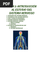 Cuadro Sinoptico Del Sistema Nervioso | PDF