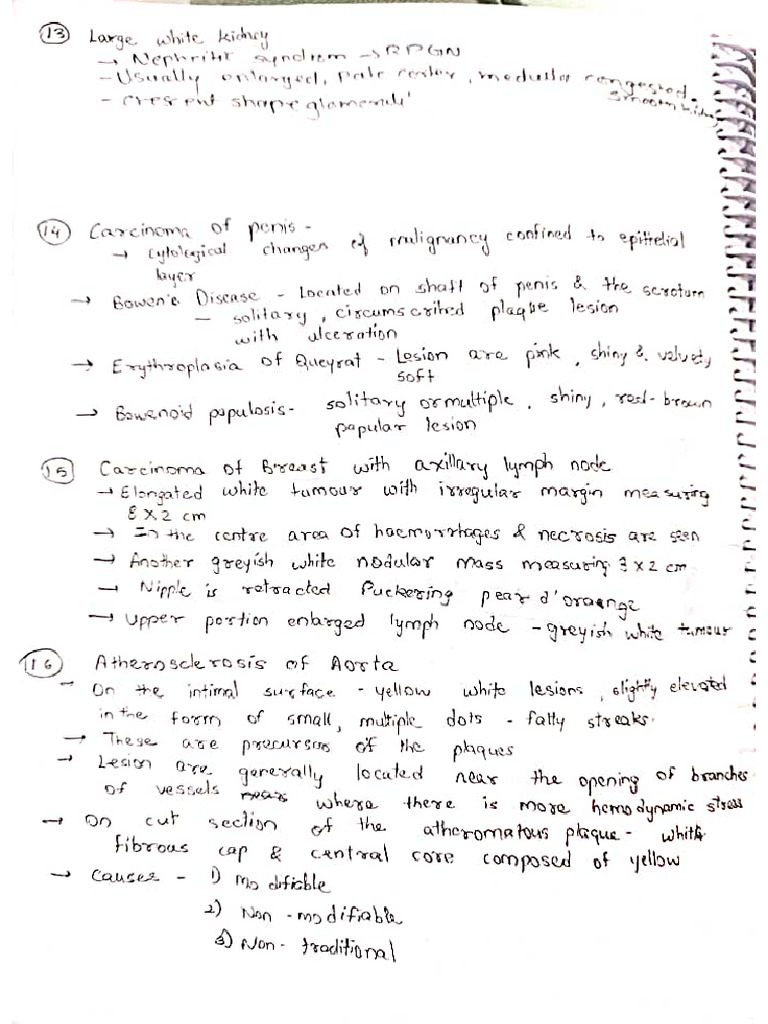 Pathology Specimens | PDF