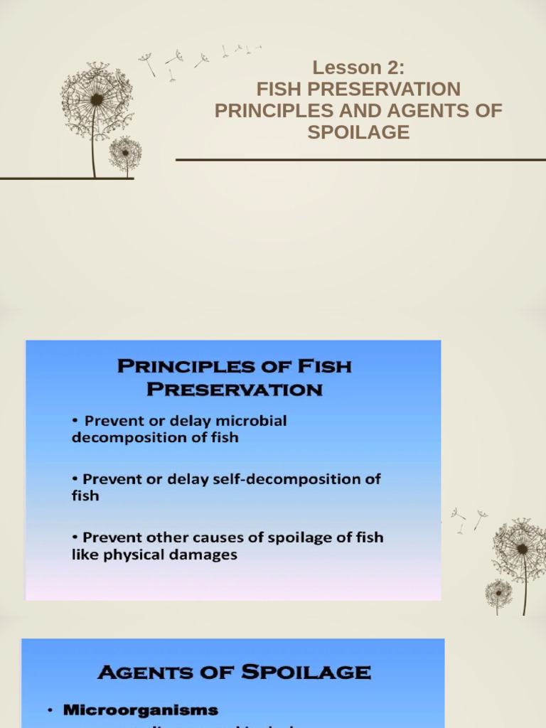 Lesson 2 WPS Office | PDF