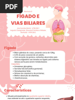 Anatomia do Fígado e Suas Estruturas | PDF | Fígado | Hepatócito