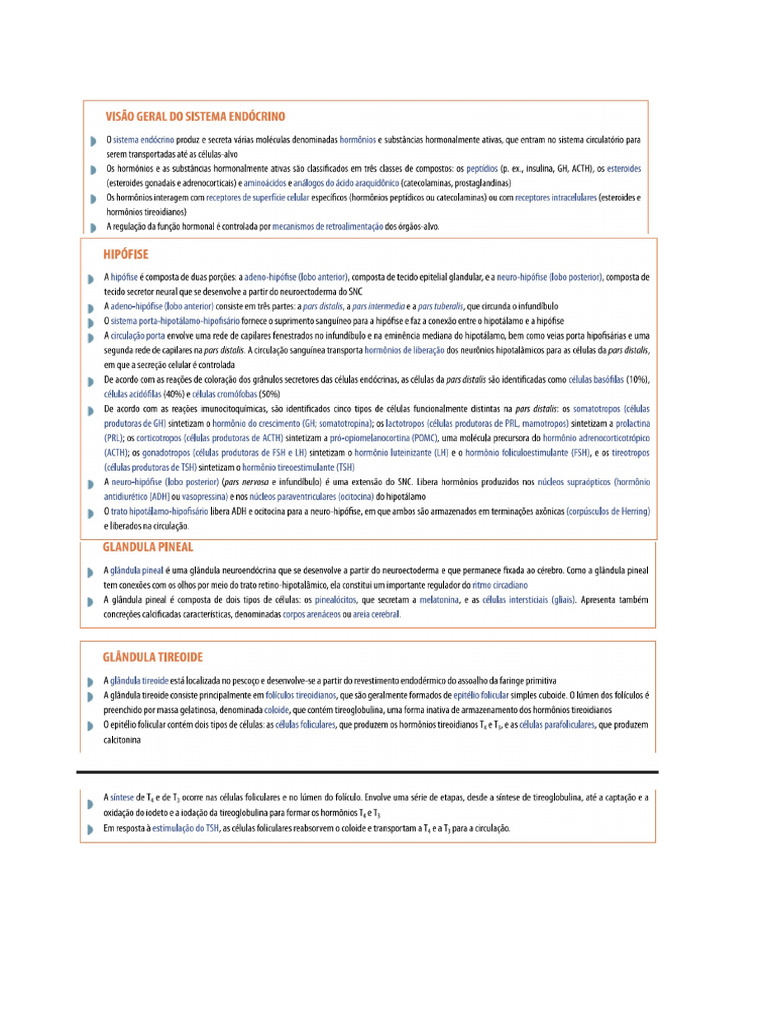 Documento Sem Título - Documentos Google | PDF