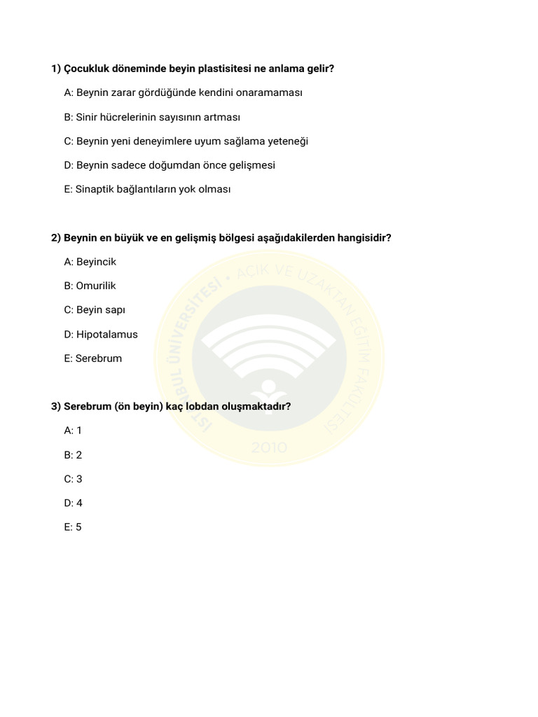 Deneme Sorulari | PDF
