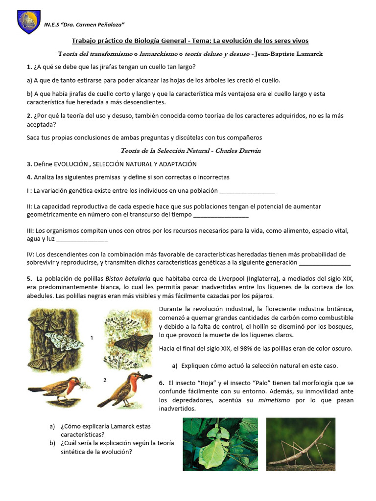 Evolución y Selección Natural en Biología | PDF | Evolución | Seleccion ...
