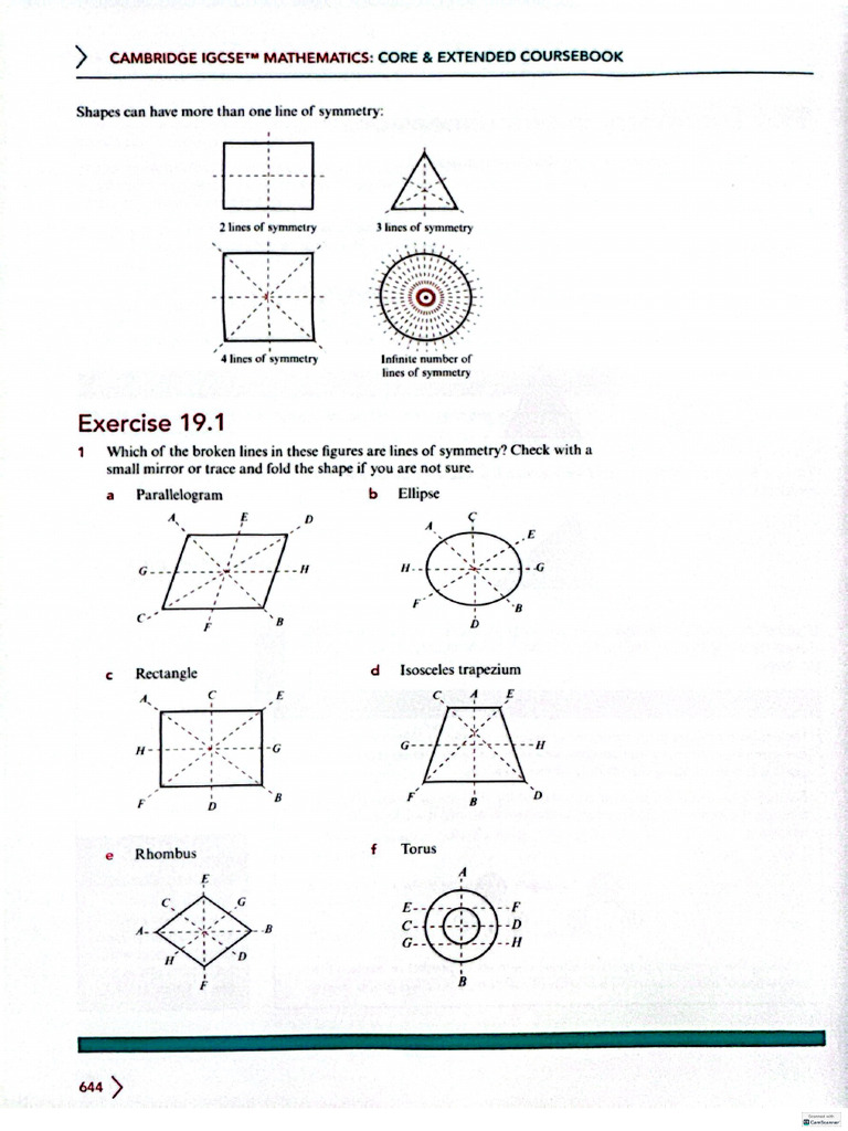 Year 10 Symmetry Line | PDF