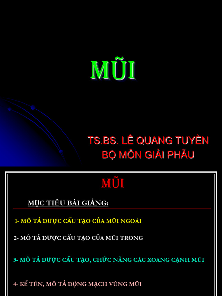 MUI - New | PDF