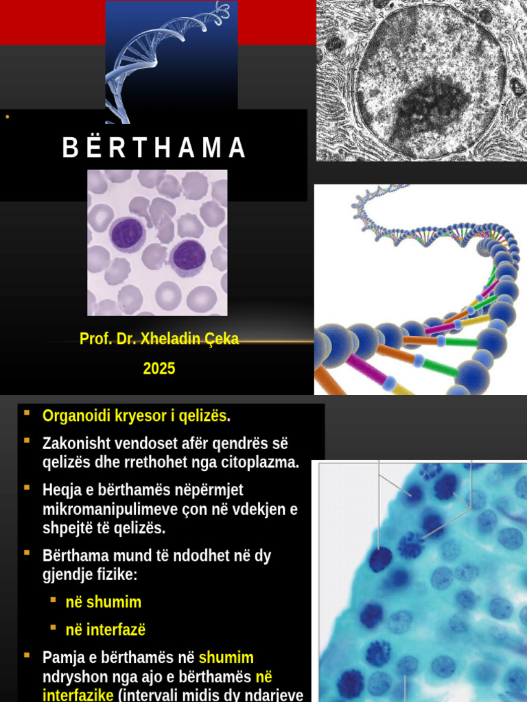 4. Berthama 2023 | PDF