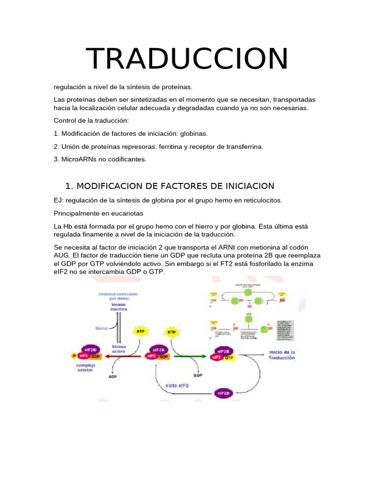 Resumen Bioqui 2 Cuatri | PDF | Rna | Traducción (biología)