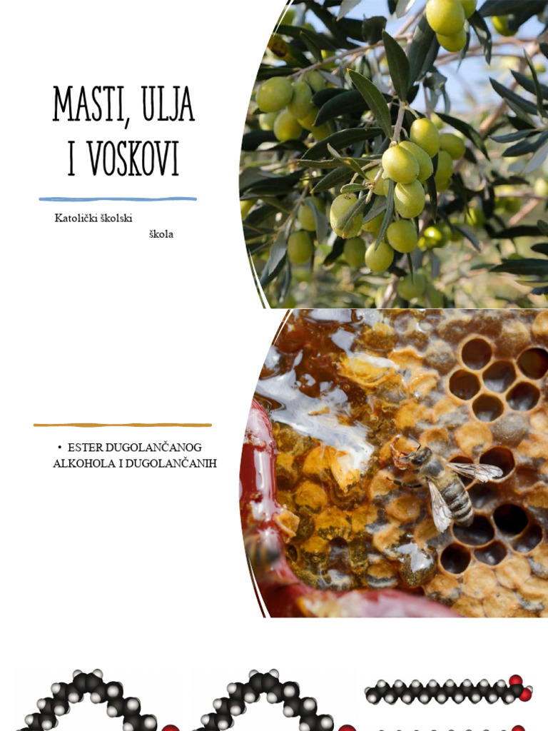 Masti I Ulja | PDF
