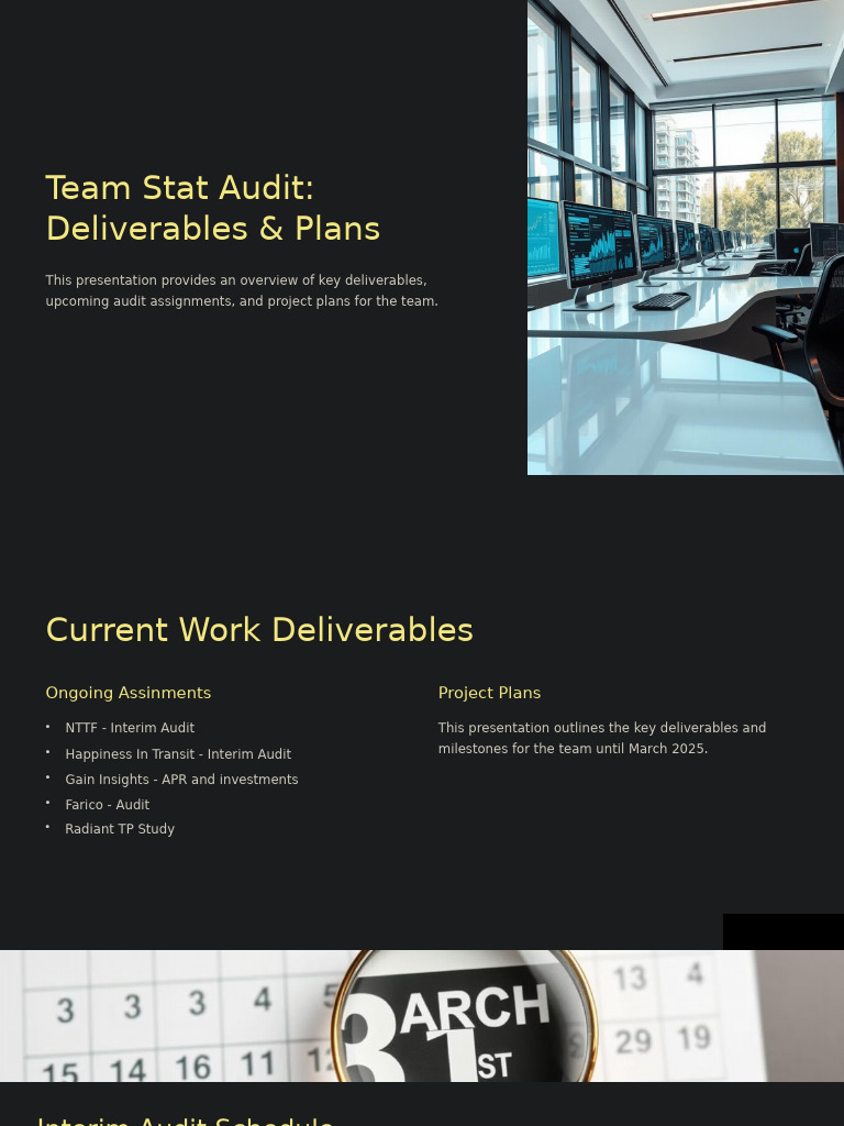 Team Stat Audit Deliverables and Plans | PDF