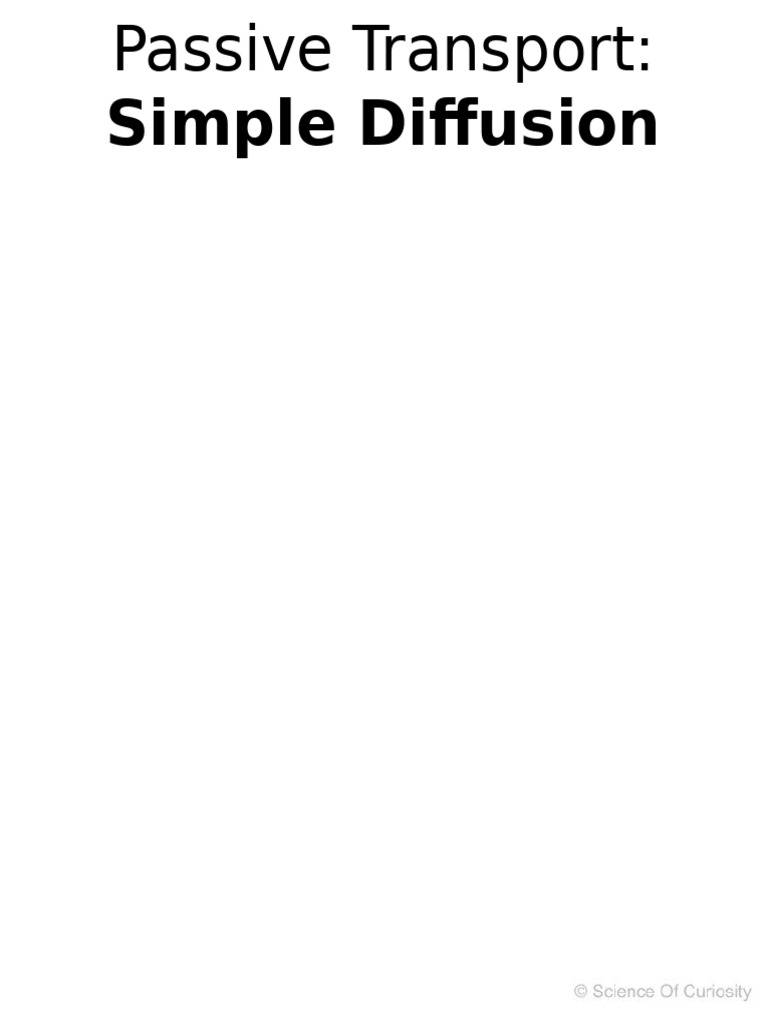 Passive and Active Transport Processes | PDF