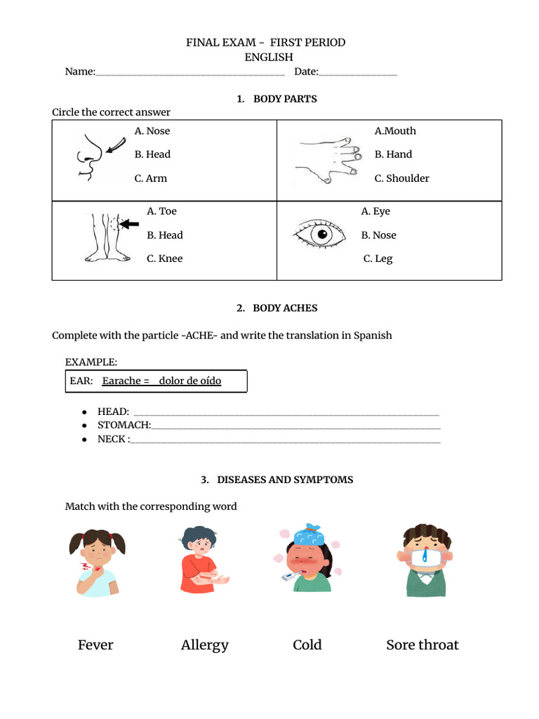 Final Exam - First Period | PDF
