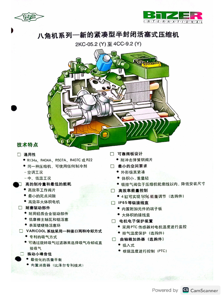 Bitzer International | PDF