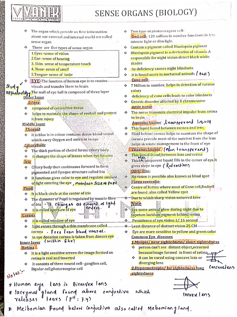 Sense Organs (Biology) | PDF