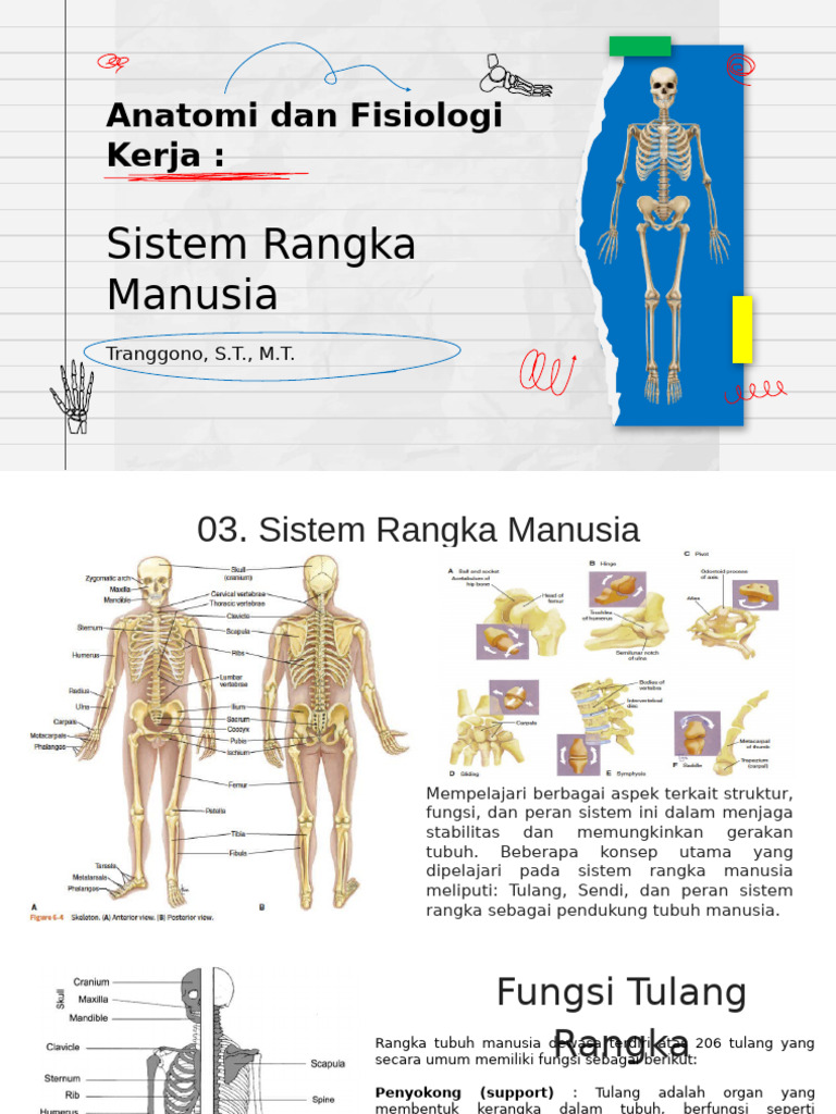 Sistem Rangka | PDF
