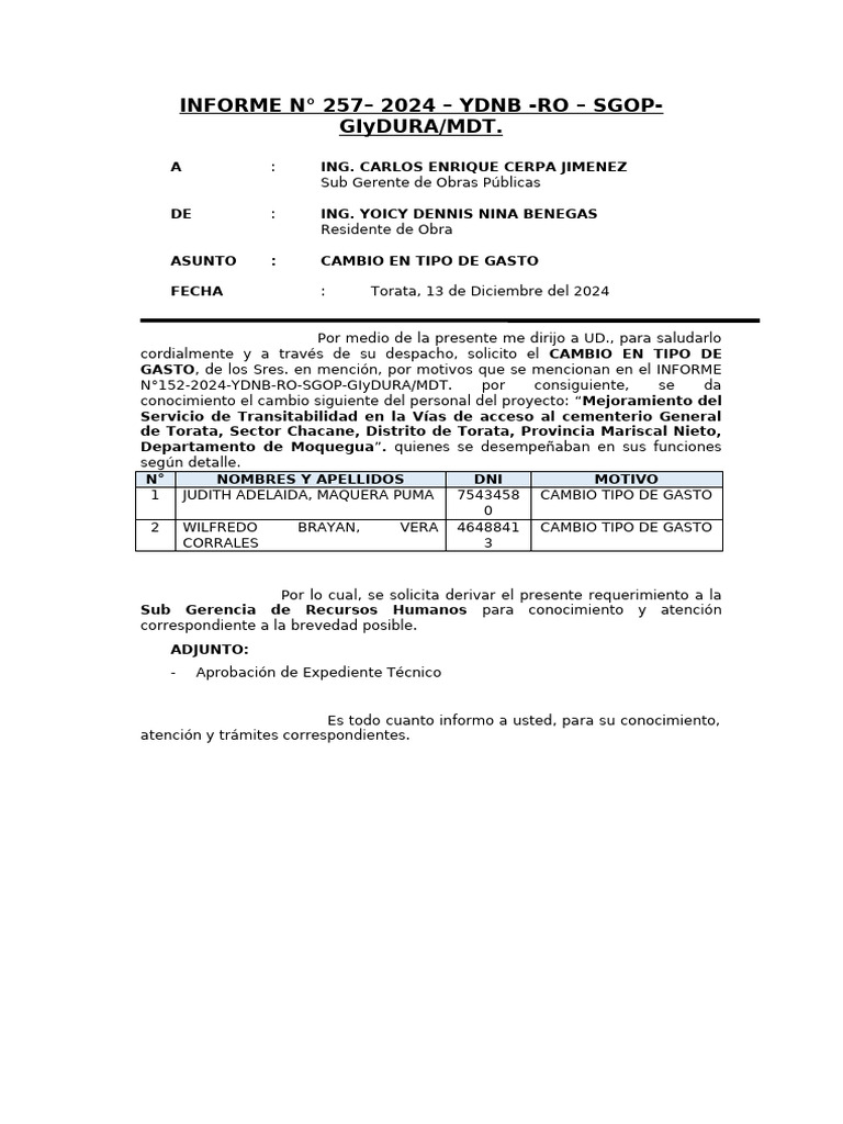 Informe Brayan | PDF