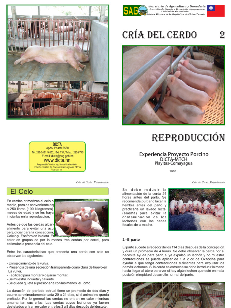 2010, Reproduccion Del Cerdo, G | PDF | Parto | Cerdo
