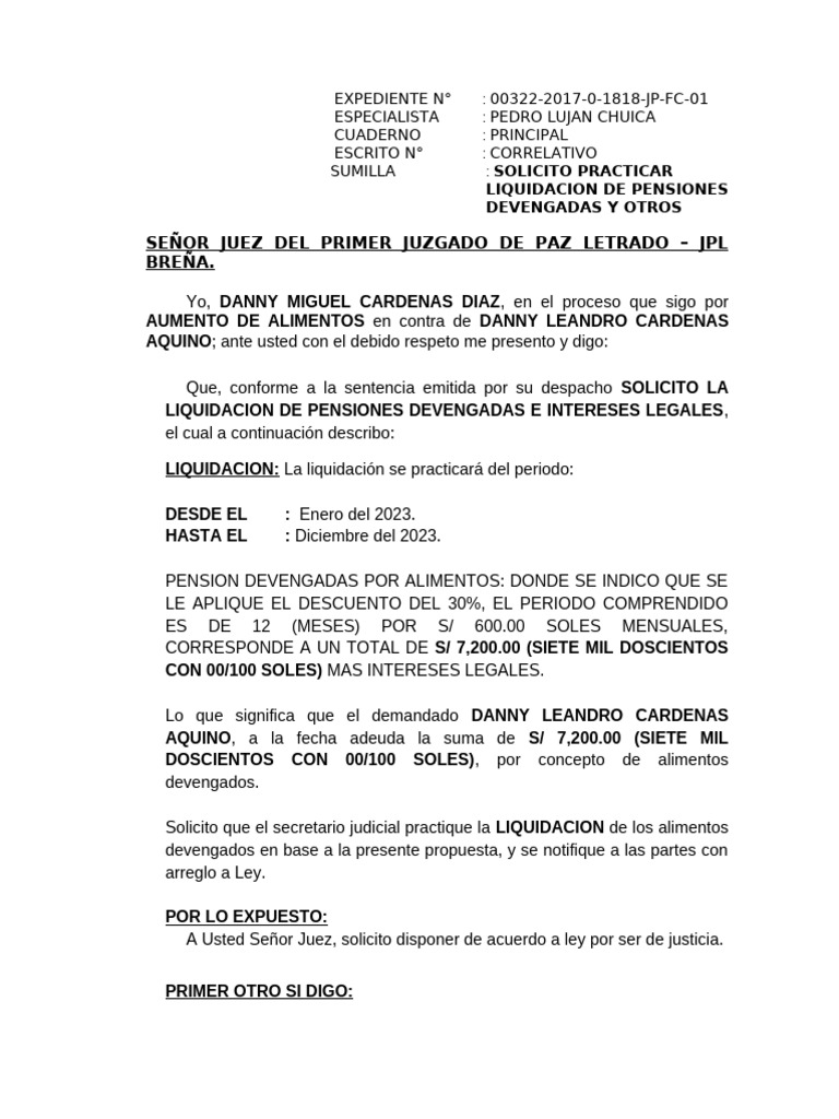 Danny Cardenas Diaz - Escrito - Escrito 2 | PDF | Liquidación | Justicia