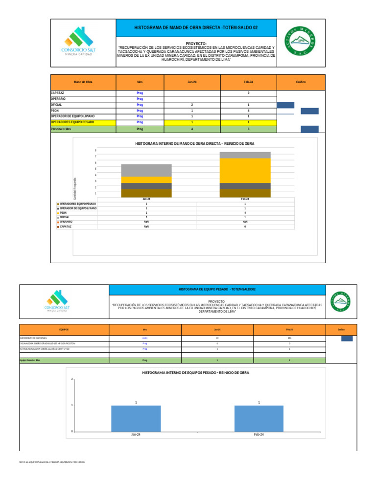 Histogramas Totem | PDF | Hormigón | Sector secundario de la economía