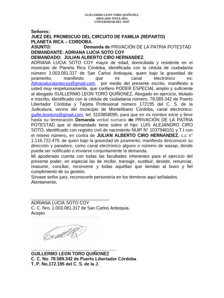 Demanda de Privación de Patria Potestad | PDF