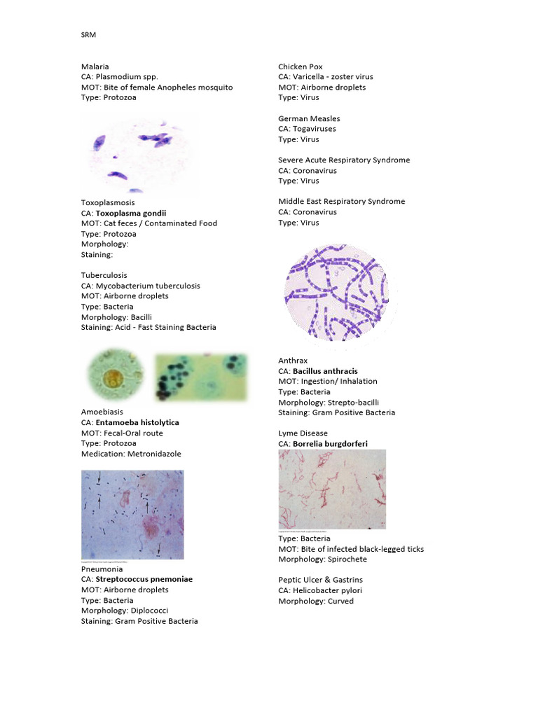 Characteristics of Pathogenic Microbes | PDF | Bacteria | Gram Negative Bacteria