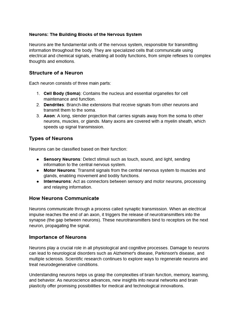 Neurons_ The Building Blocks of the Nervous System | PDF