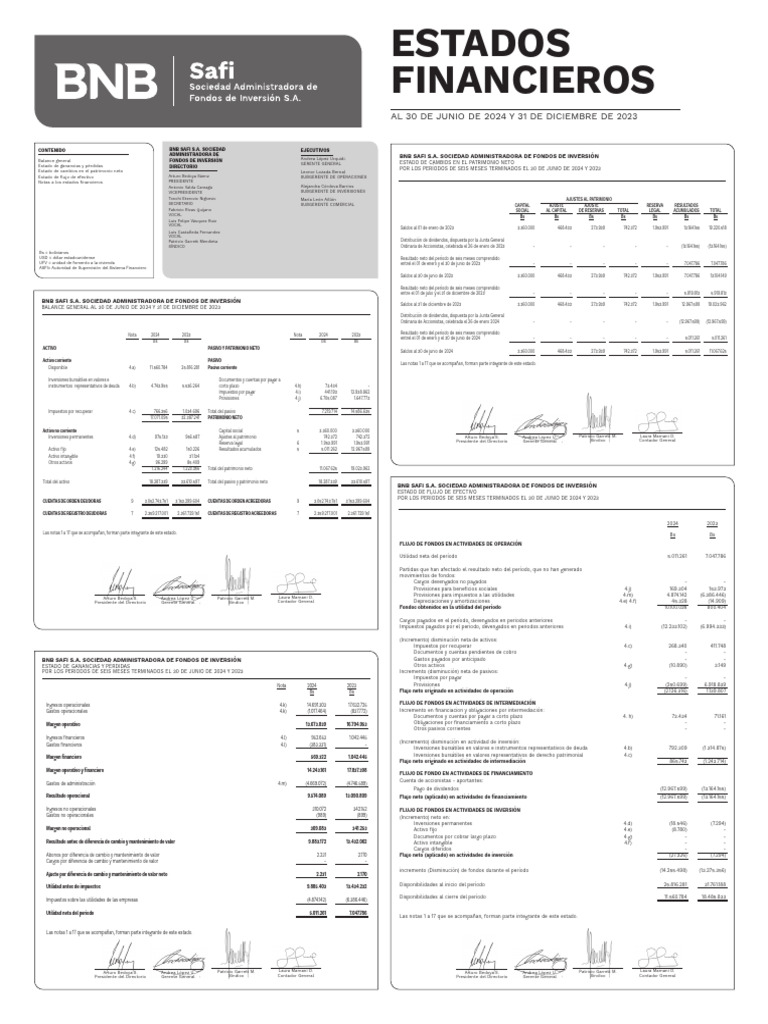 Estados Financieros SAFI 2024 | PDF | Contabilidad | Fondo de inversión