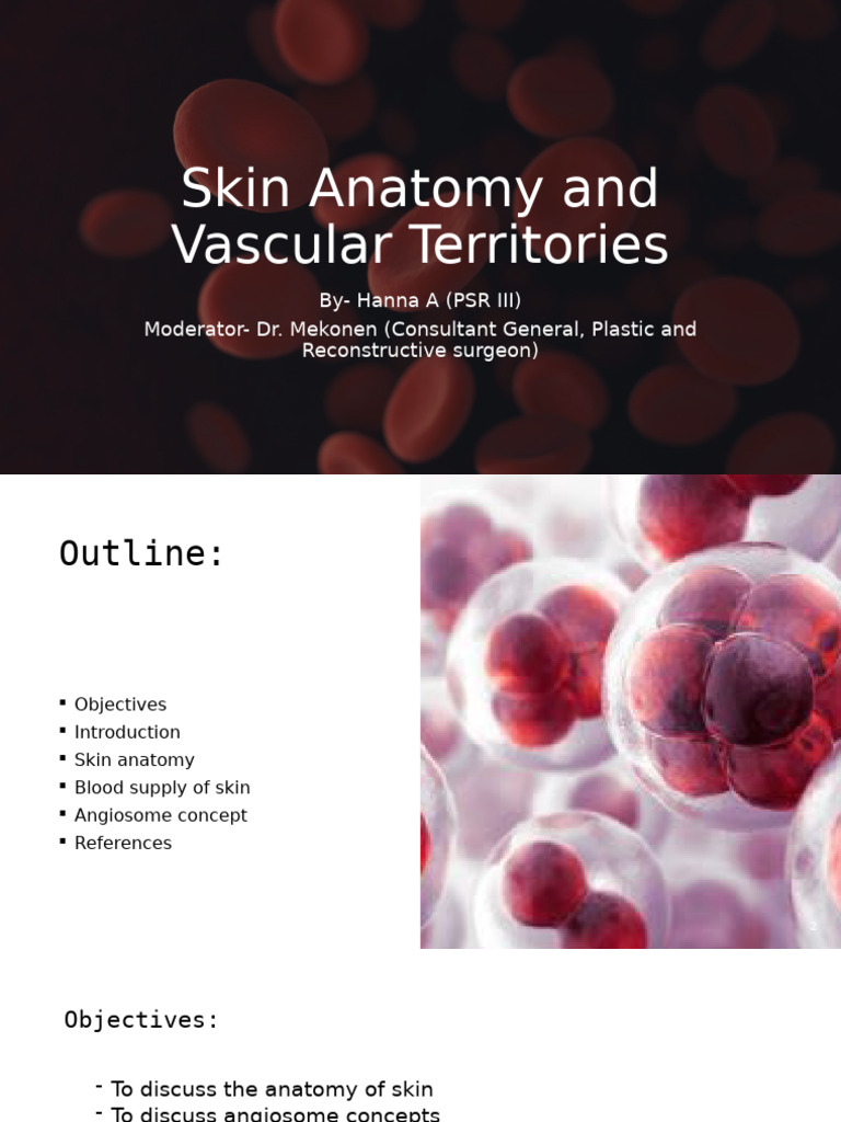 Skin Anatomy and Vascular Supply Insights | PDF | Vein | Skin