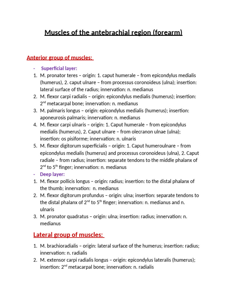Muscles of the Antebrachial Region | PDF | Thumb | Finger