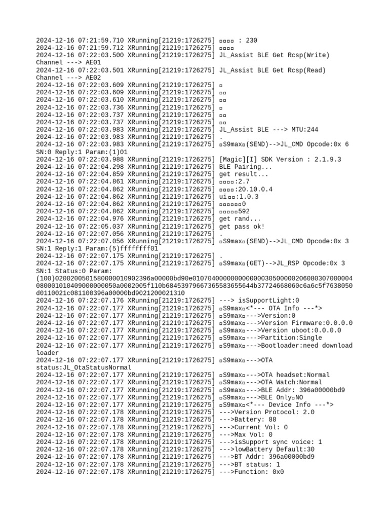 JL_LOG-2024-12-16-07-21-58 | PDF | Computer Architecture | Computing