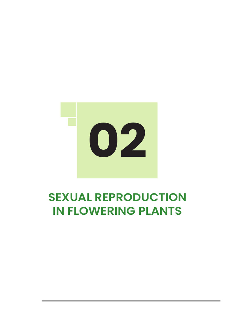 Class 12 Biology VEDANTU Sexual Reproduction in Flowering Plants Notes ...