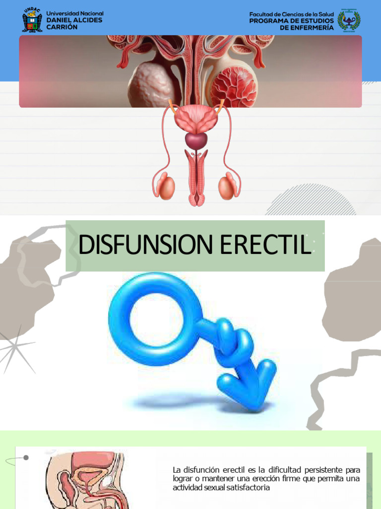 Transtornos Del Aparato Reproductor Masculino | PDF | Disfunción ...