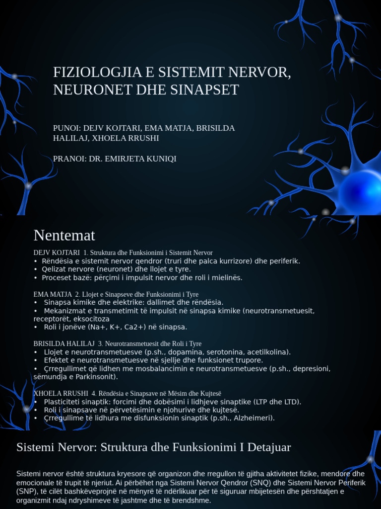 Fiziologjia e Sistemit Nervor | PDF