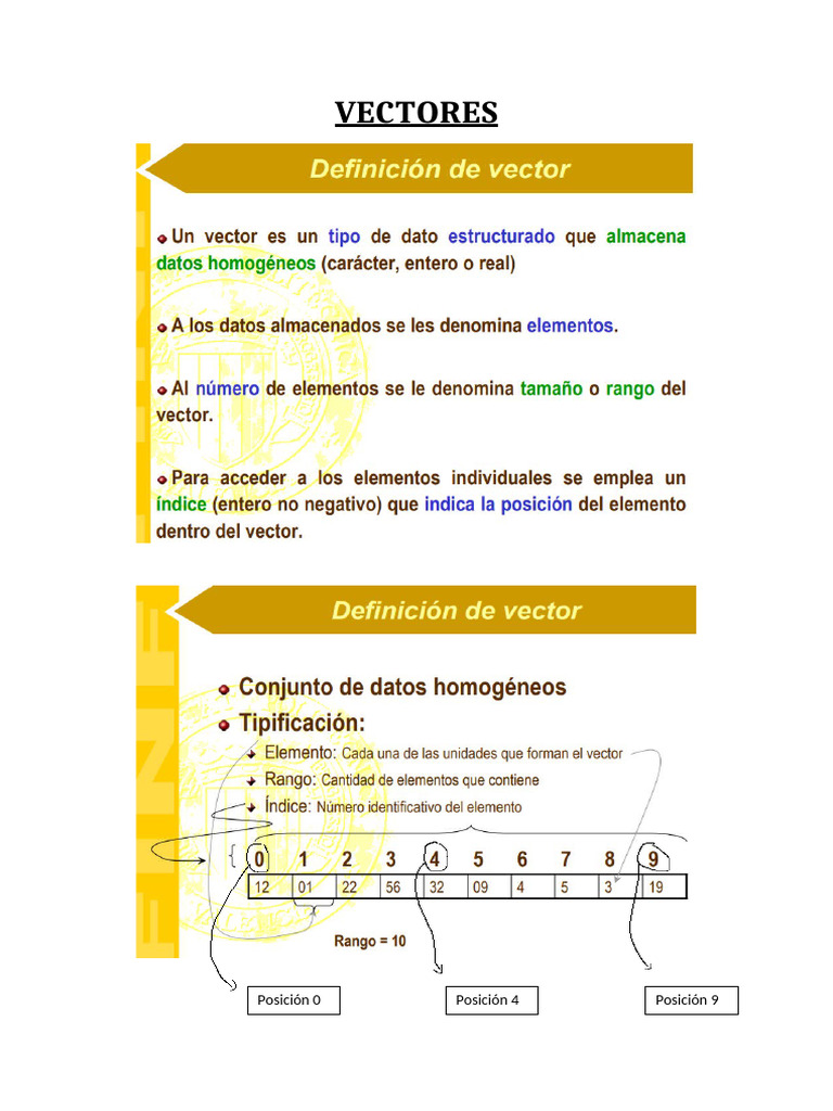Vectores y Cadenas | PDF