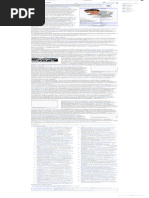 Piper Perri Surrounded: Origen y Memes | PDF | Red mundial | Internet y web
