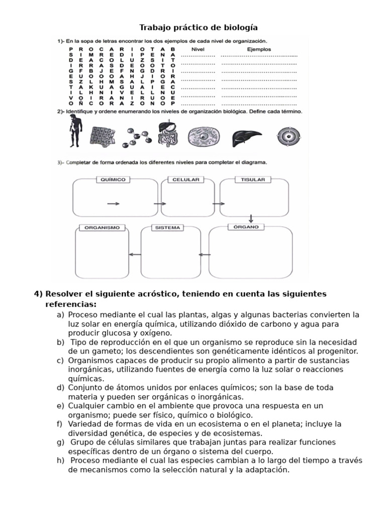 Funciones Vitales de los Seres Vivos | PDF | Organismos | Reproducción