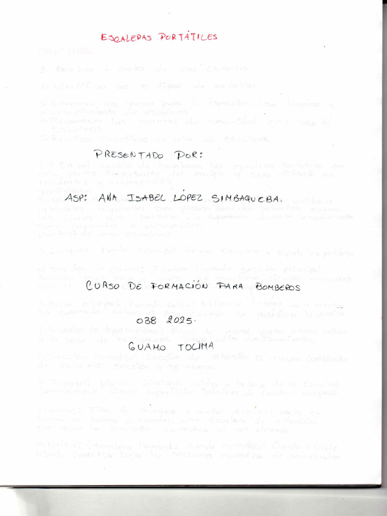 Escaleras Portatiles Isabel Lopez20250320 - 15560081 | PDF