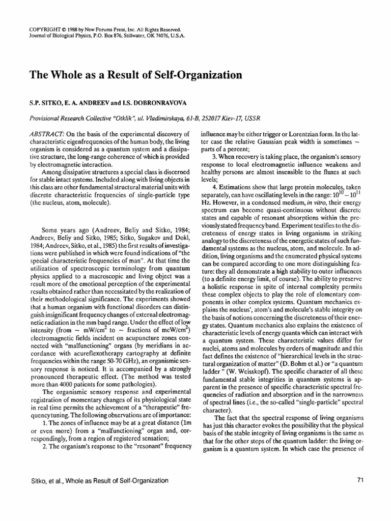 1988 Sitko The whole as a result of self-organization Rudenko effect | PDF | Atomic Nucleus | Atoms