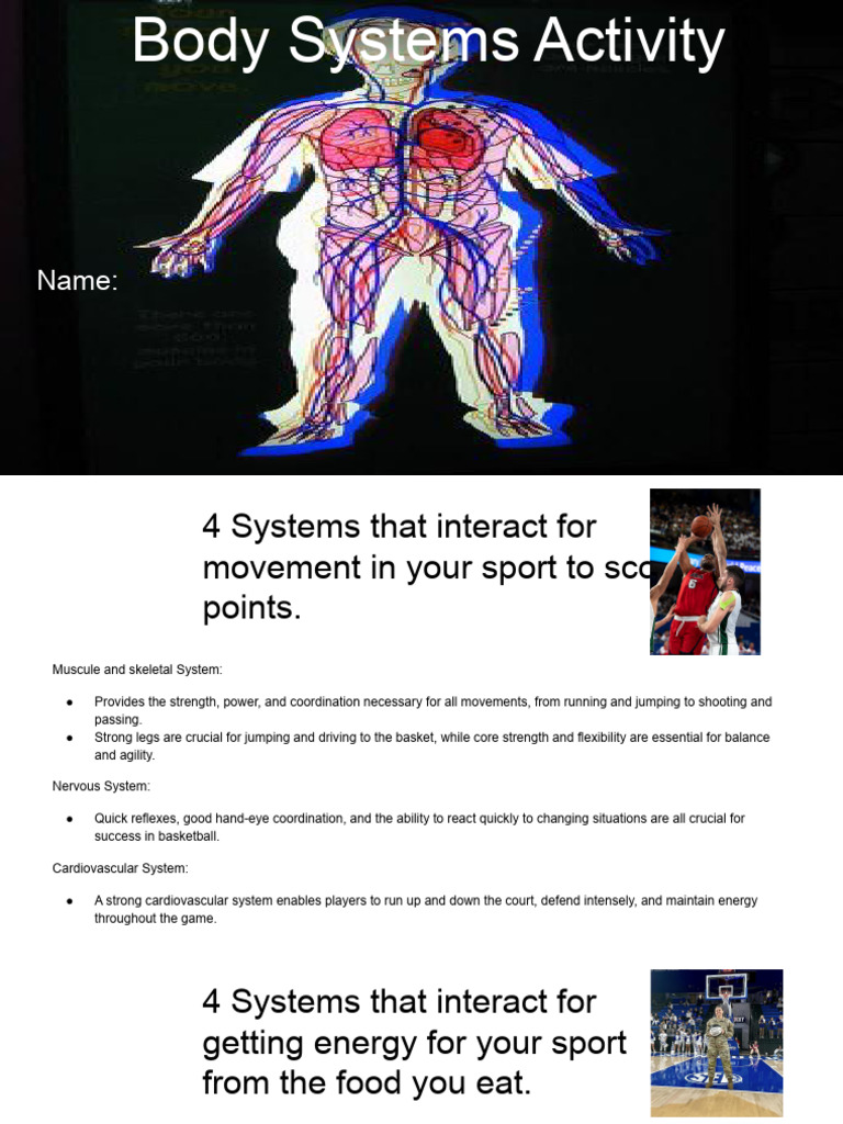 Body Systems in Sports Performance | PDF | Human Body | Skeletal Muscle